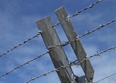 China Garden Anti-Theft Anti Climb Double Strand Reverse Twist Barbed Wire for sale
