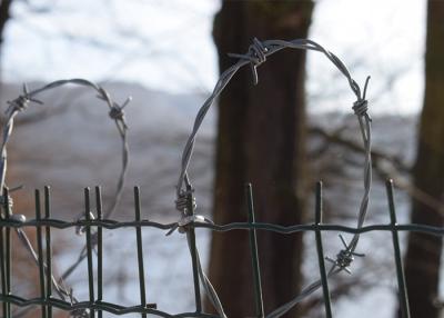China Garden Anti-Theft Anti Climb hot dip Galvanized Barbed Wire Roll for sale