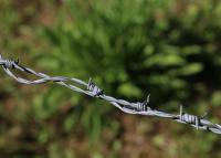 China Garden Anti-Theft Twist 3or 4inch Barb Distanc Hot Dipped Galvanized Barbed Wire for sale