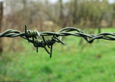 China Garden Anti-Theft 50kg  Double Strand Reverse Twist Electro Barbed Wire Roll for sale