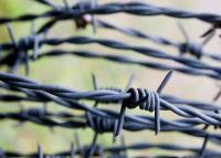 China Garden Anti-Theft Length 200m Stainless Steel Barbed Wire Price Per Roll for sale