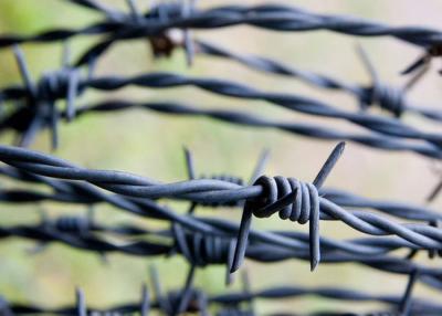 China Garden Anti-Theft Length 200m Stainless Steel Barbed Wire Price Per Roll for sale