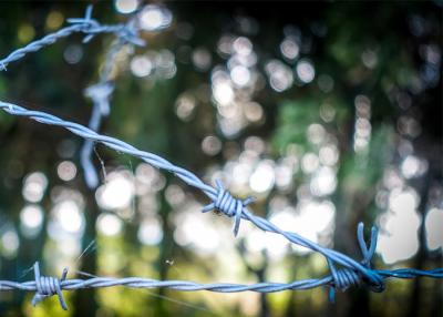 China Garden Anti-Theft Double Strand Traditional Twist Galvanized Barbed Wire Coils for sale