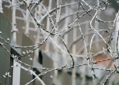 China Garden Anti-Theft PVC Coated /Galvanized Barbed Wire Coils Fence for sale