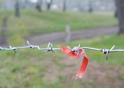 China Garden Anti-Theft Single Strand Hot Dipped Galvanized Steel Barbed Wire for sale