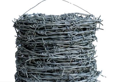 China Garden Anti-Theft Double Strand Reverse Twist Stainless Steel Barbed Wire for sale