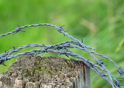 China Garden Anti-Theft Length 200m Single Strand Hot Dipped Galvanized Barbed Wire for sale