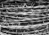 China Garden Anti-Theft 12.5 Gauge  Double Twisted Galvanized Barbed Wire for sale
