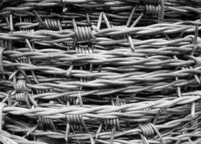 China Garden Anti-Theft 12.5 Gauge  Double Twisted Galvanized Barbed Wire for sale