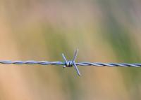 China Farm Protection Single Strand Hot Dipped Galvanized Barbed Wire Price Per Roll for sale