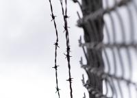 China Farm Protection Anti Climb Single Strand PVC Coated Iron Barbed Wire for sale