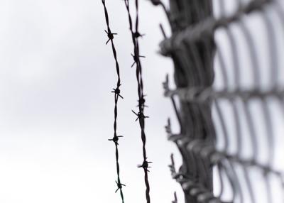China Farm Protection Anti Climb Single Strand PVC Coated Iron Barbed Wire for sale