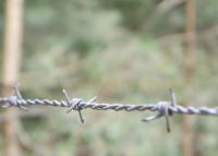 China Farm Protection Double Strand Reverse Twist Hot Dipped Galvanized Barbed Wire Roll for sale