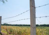 China Double Strand Reverse Twist PVC Coated Iron Security Barbed Wire For Enhanced Security for sale