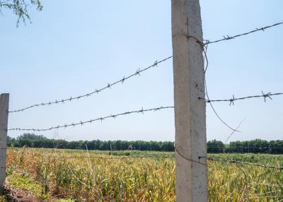 China Double Strand Reverse Twist PVC Coated Iron Security Barbed Wire For Enhanced Security for sale