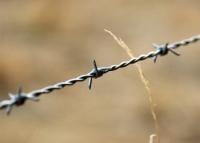 China Farm Protection Double Twisted Hot Dipped Galvanized Barbed Wire Coils for sale
