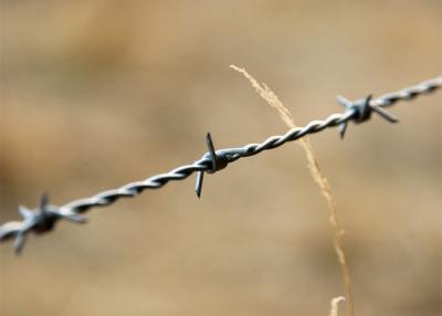 China Farm Protection Double Twisted Hot Dipped Galvanized Barbed Wire Coils for sale