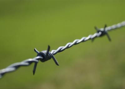 China Farm Protection Anti Climb Double Strand Reverse Twist Barbed Wire for sale