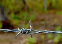 China Farm Protection Anti Climb hot dip Galvanized Barbed Wire Roll for sale