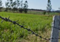 China Construction Protection Galvanized/Galvanized Barbed Wire Price Per Roll for sale