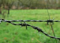 China Farm Protection Single Strand Stainless Steel Barbed Wire Price Per Roll for sale