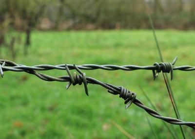 China Farm Protection Single Strand Stainless Steel Barbed Wire Price Per Roll for sale