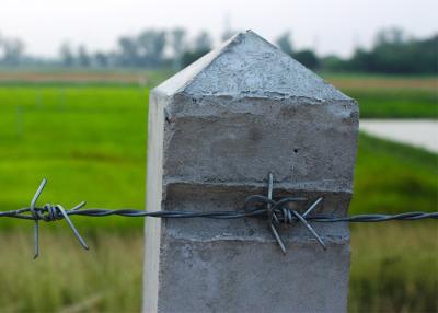China Farm Protection 50kg  Double Strand Reverse Twist Electro Barbed Wire Roll for sale