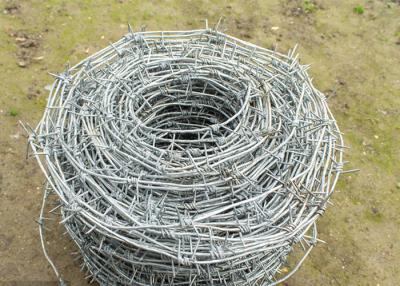 China Farm Protection Single Strand Hot Dipped Galvanized Steel Barbed Wire for sale
