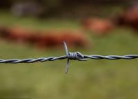 China hot dip Galvanized Steel Double Twisted Farm Barbed Wire Rolls for sale