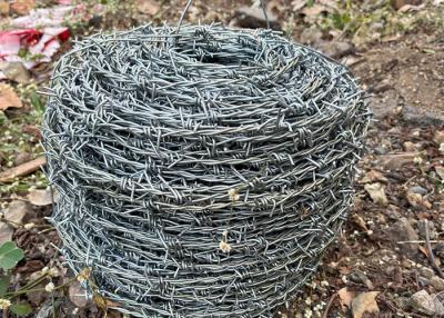 China Farm Protection Double Strand Reverse Twist  Stainless Steel Barbed Wire for sale