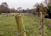 China 3or 4inch Barb Distance Double Twisted Hot Dipped Galvanized Barbed Wire for sale
