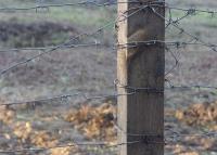 China Farm Protection 50kg Double Strand Traditional Twist Barbed Wire Roll for sale