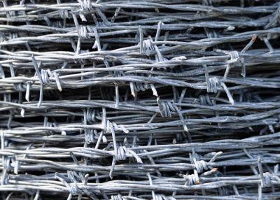 China Construction Protection 3or 4inch Barb Distance Galvanized Barbed Wire for sale