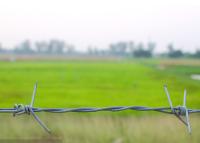 China 500 Meters Double Twisted PVC Coated Steel Barbed Wire Price Per Roll for sale