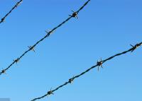 China Fence Construction Protection 3or 4inch Barb Distance Electro Barbed Wire for sale