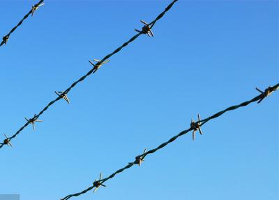 China Fence Construction Protection 3or 4inch Barb Distance Electro Barbed Wire for sale