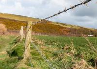 China Fence Construction Protection Double Strand Reverse Twist PVC Coated Barbed Wire for sale