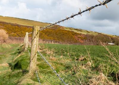 China Fence Construction Protection Double Strand Reverse Twist PVC Coated Barbed Wire for sale