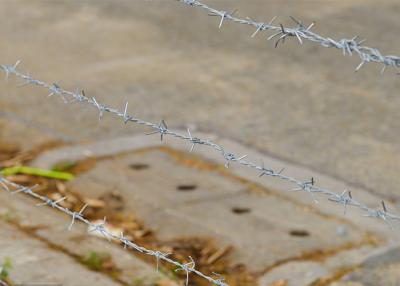 China Rust Resistance Double Twisted Hot Dipped Galvanized Barbed Wire Coils for sale