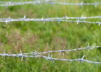 China Rust Resistance 3or 4inch Barb Distance Double Strand Reverse Twist Barbed Wire for sale