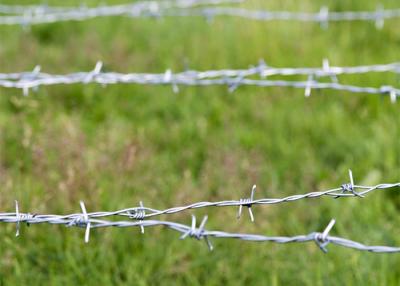 China Rust Resistance 3or 4inch Barb Distance Double Strand Reverse Twist Barbed Wire for sale