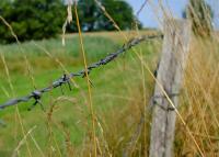 China Rust Resistance Double Strand Traditional Twist Barbed Wire Fence for sale