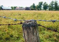 China Rust Resistance 3or 4inch Barb Distance Galvanized Barbed Wire Roll for sale