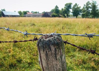 China Rust Resistance 3or 4inch Barb Distance Galvanized Barbed Wire Roll for sale