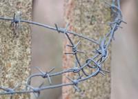 China Rust Resistance Double Twisted PVC Coated /Galvanized Barbed Wire Coils for sale