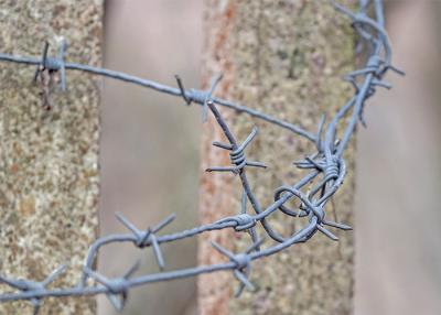 China Rust Resistance Double Twisted PVC Coated /Galvanized Barbed Wire Coils for sale