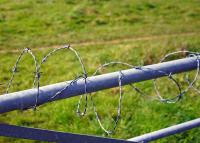 China Rust Resistance Single Strand Galvanized Steel Barbed Wire Fence Construction Protection for sale