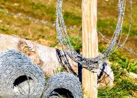 China Double strand traditional twist Hot Dipped Galvanized Barbed Wire for sale