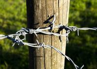 China Rust Resistance Double Strand Reverse Twist  Stainless Steel Barbed Wire for sale