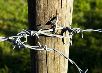 China Rust Resistance Double Strand Reverse Twist  Stainless Steel Barbed Wire for sale